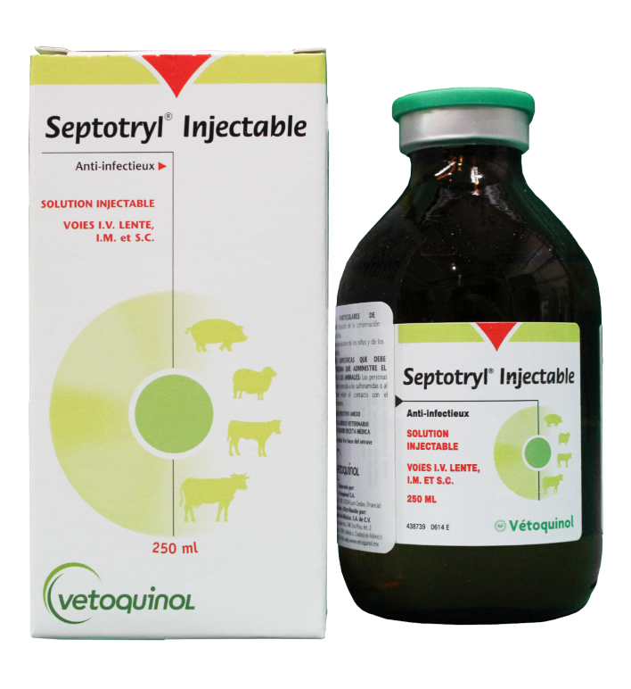 Septotryl® | Vetoquinol